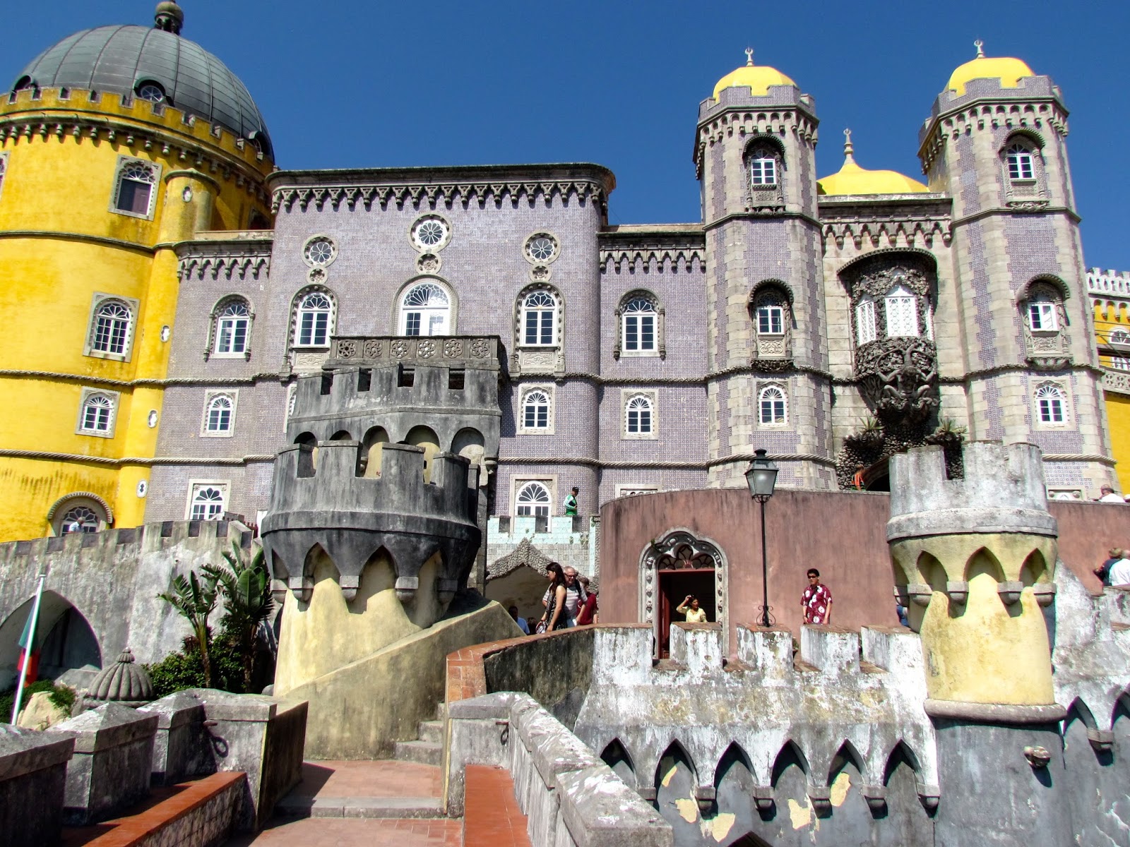 38754-img_7115 | Sharalyn Loves Animals