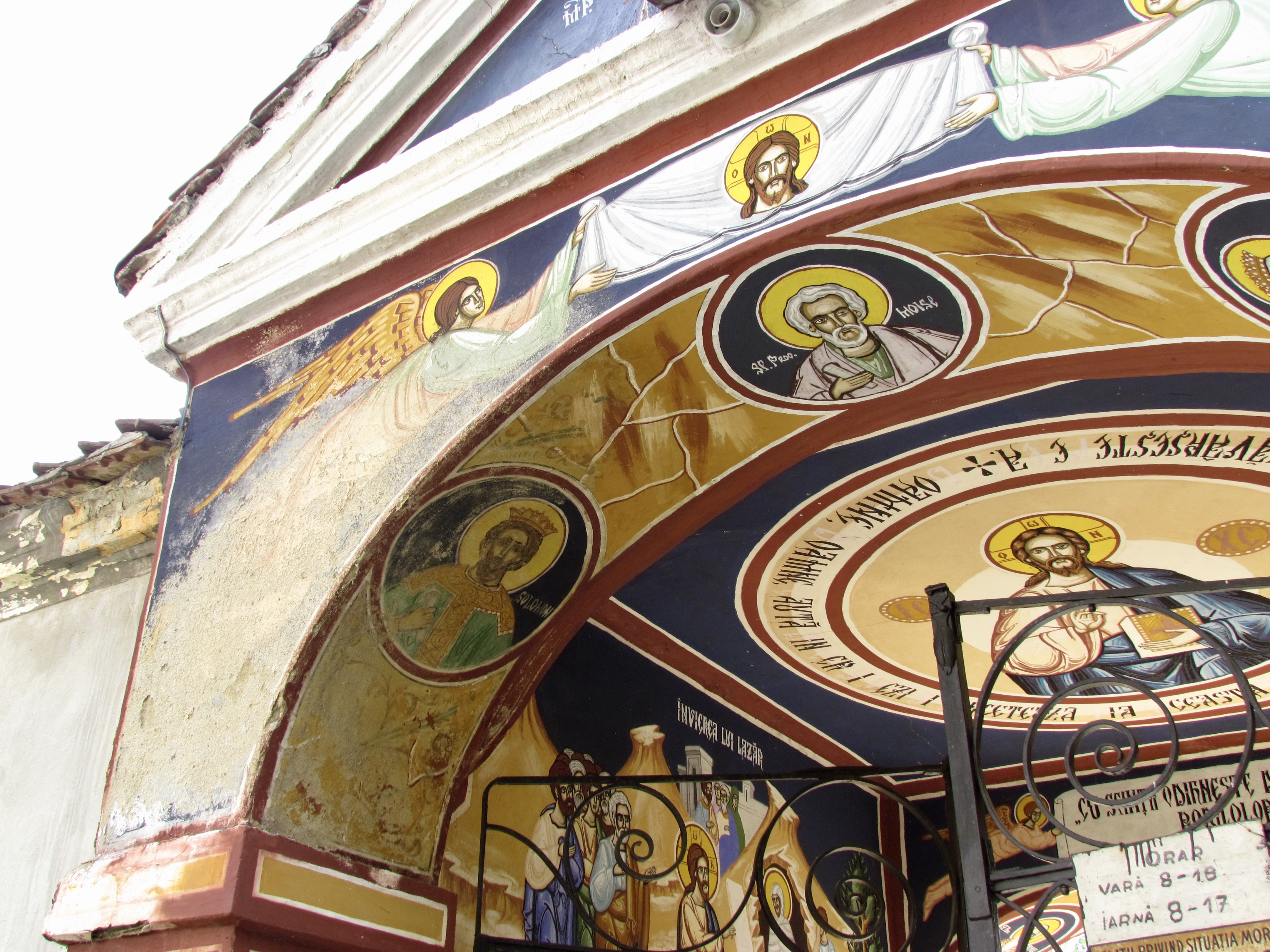 fullsizeoutput_2b51 | Sharalyn Loves Animals